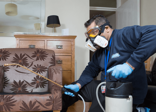 Start a Pest Control Franchise Business | Fantastic Service UK